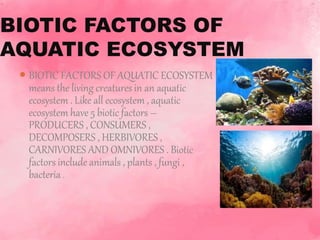 KRITIKA KHATTAR ECOSYSTEM ACTIVITY | PPTX