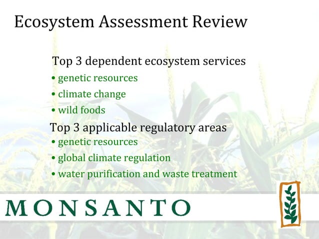 Ecosystem Analysis - Monsanto Seeds And Traits | PPT