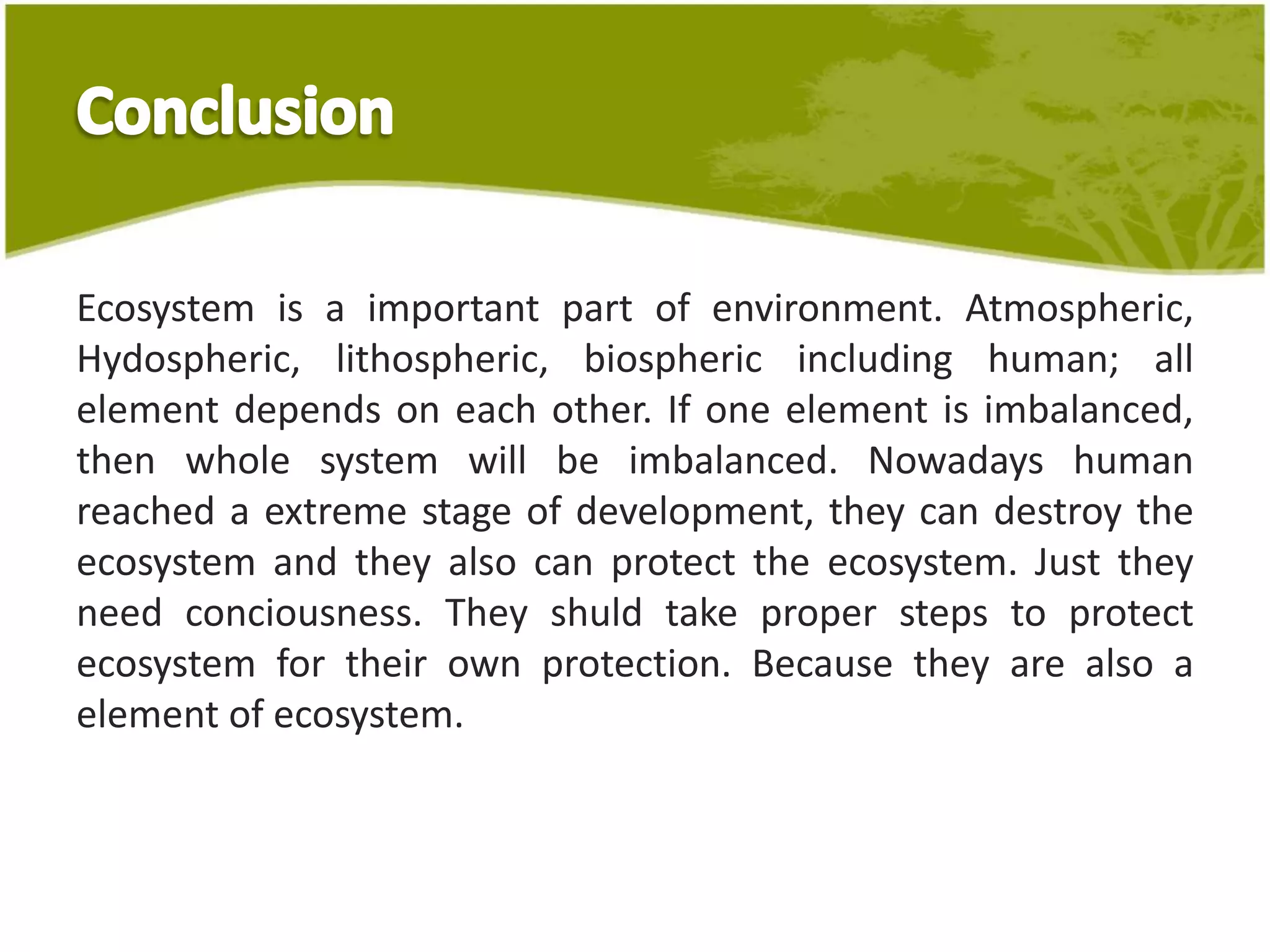 Ecosystem and biodiversity | PPTX