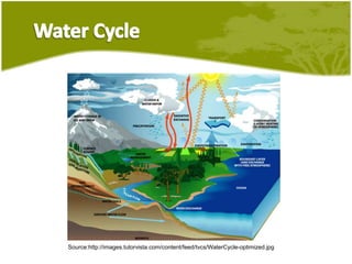 Ecosystem and biodiversity | PPTX