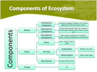 Ecosystem and biodiversity | PPTX