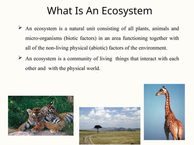 Ecosystem and Community . | PPT