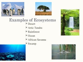 Ecosystem and Community . | PPT