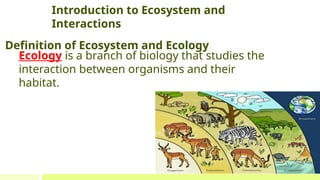 Comprehensive Overview of Ecosystem Interactions and Conservation | PPTX