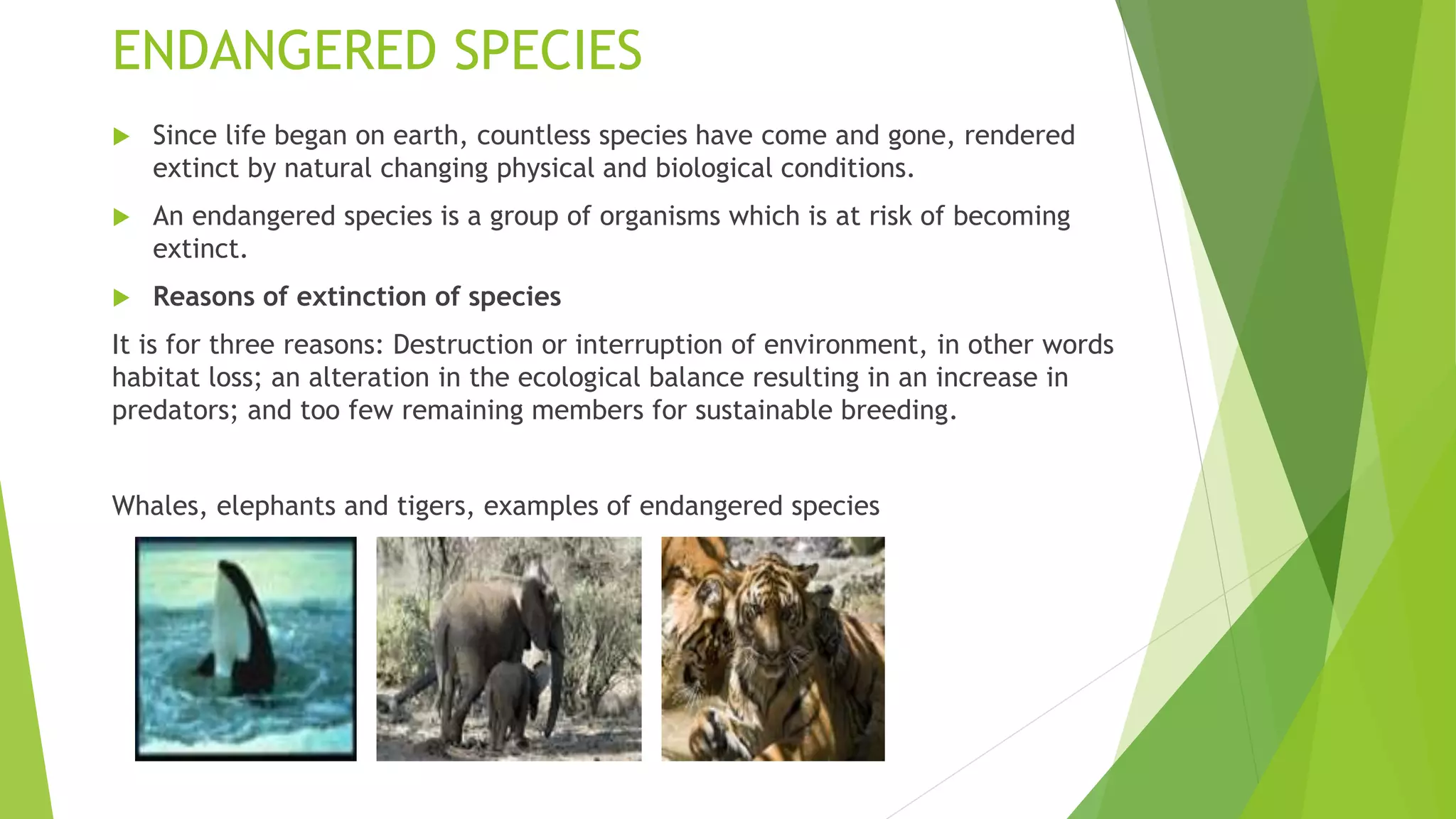 Ecosystem and endangered species | PPTX