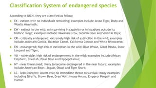 Ecosystem and endangered species | PPTX