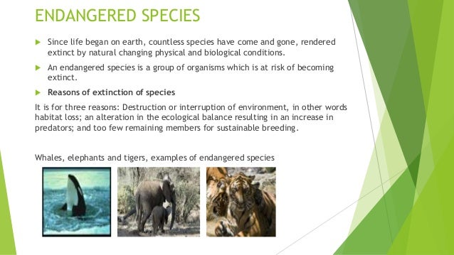 Ecosystem and endangered species
