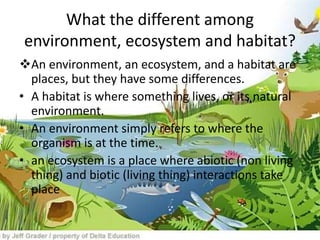Ecosystem and environment | PPT