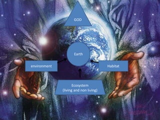 Ecosystem and environment | PPT