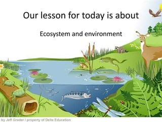 Ecosystem and environment | PPTX