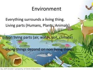 Ecosystem and environment | PPT