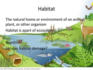 Ecosystem and environment | PPT