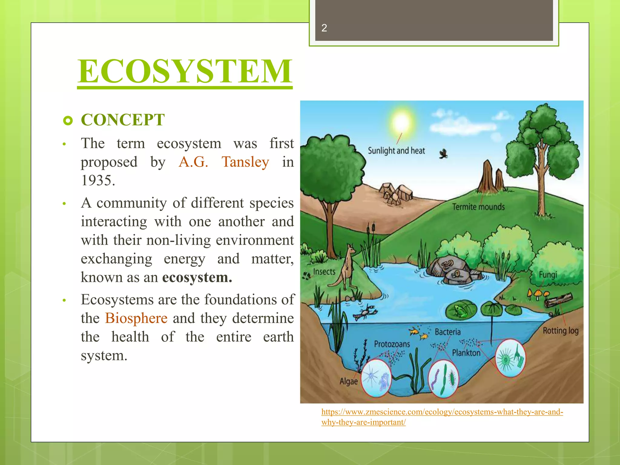 Ecosystem and environmental hazards | PPTX