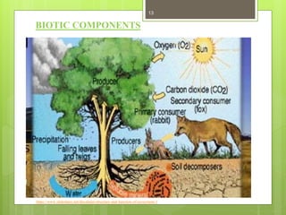 Ecosystem and environmental hazards | PPTX