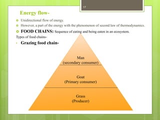 Ecosystem and environmental hazards | PPTX