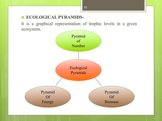 Ecosystem and environmental hazards | PPTX