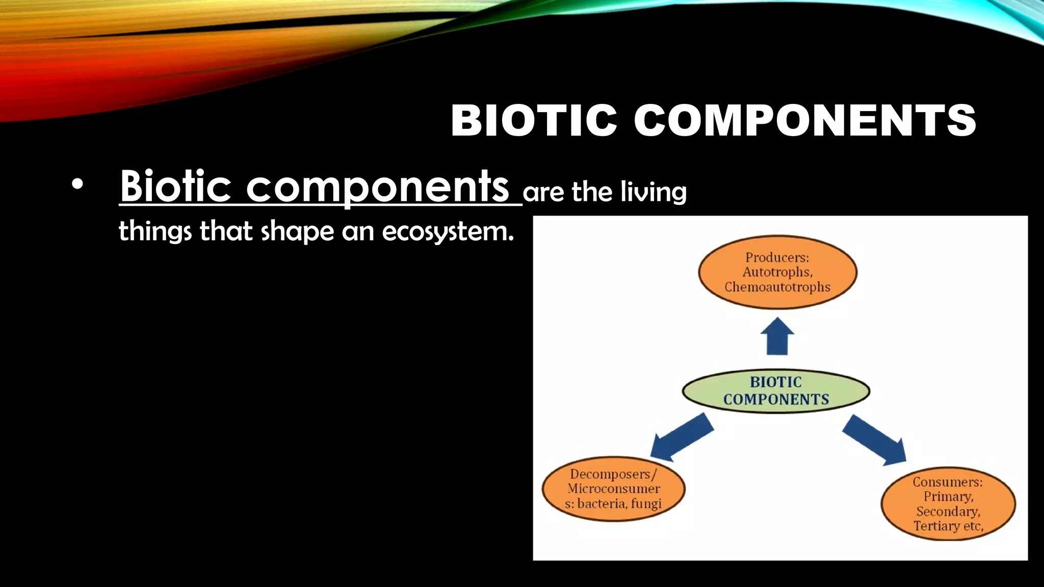 Ecosystem and its components | POT