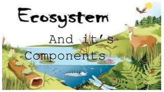 ecosystem and its components.pptx
