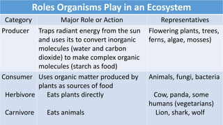 ecosystem and its components.pptx