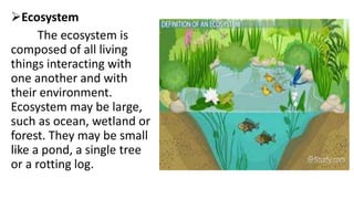 ecosystem and its components.pptx