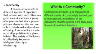 ecosystem and its components.pptx