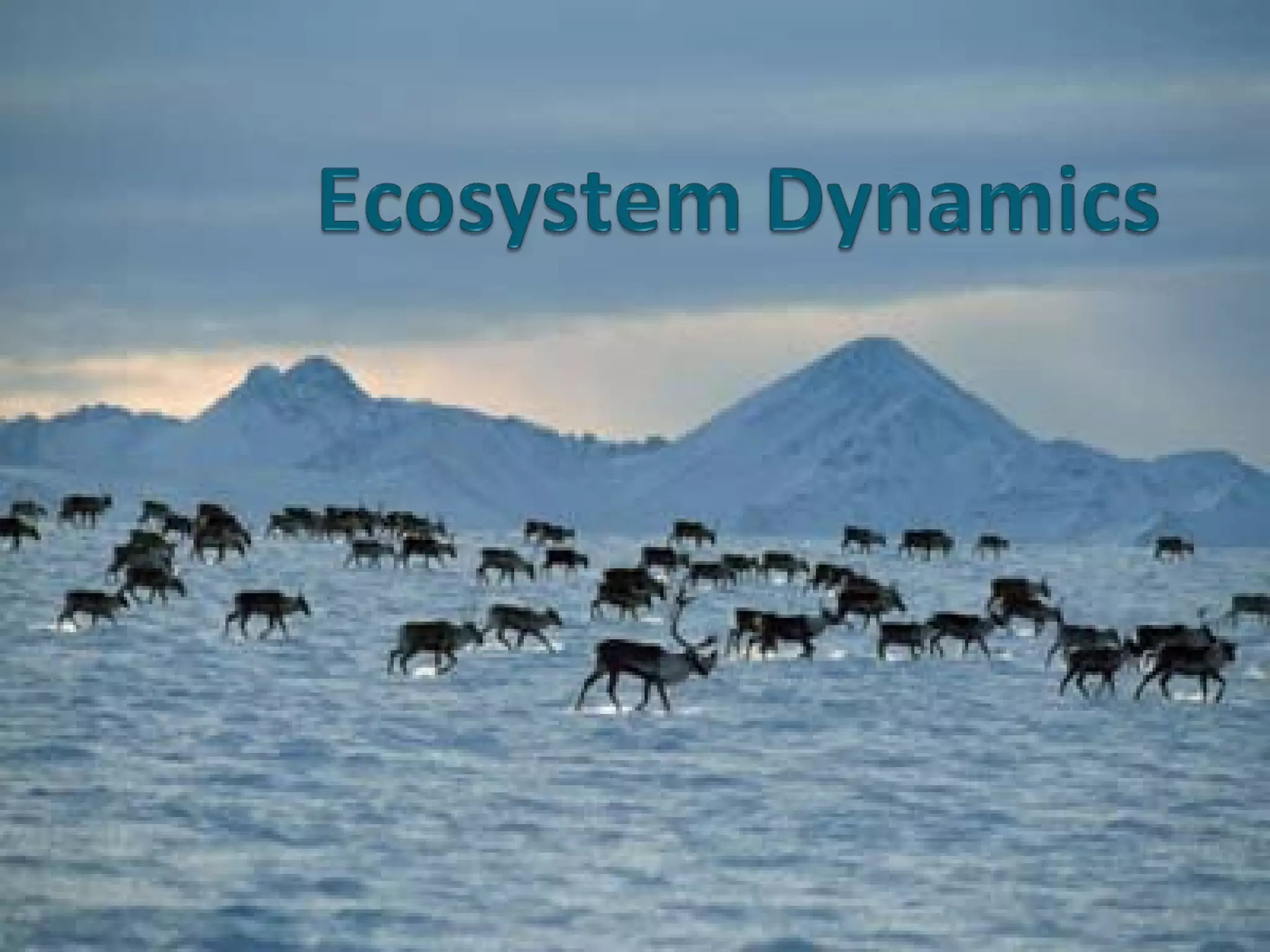 Ecosystem and Population Dynamics | PPT