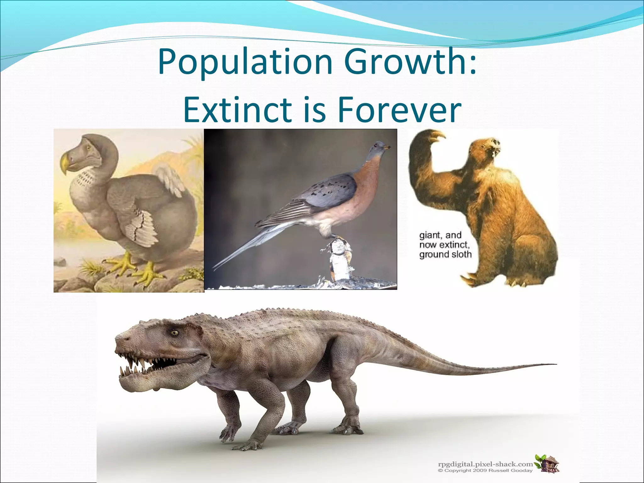 Ecosystem and Population Dynamics | PPT