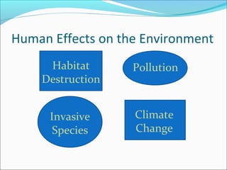 Ecosystem and Population Dynamics | PPT