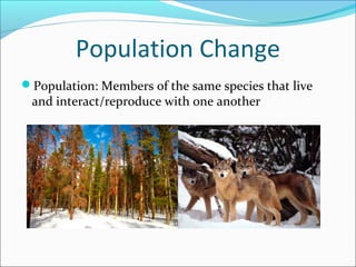 Ecosystem and Population Dynamics | PPT