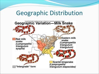 Ecosystem and Population Dynamics | PPT