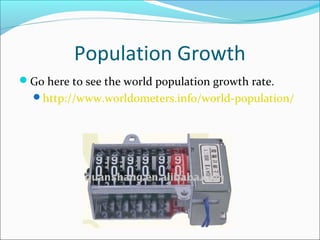 Ecosystem and Population Dynamics | PPT
