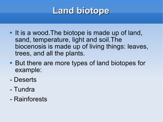 Ecosystem andrea | PPT