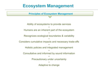 Ecosystem approach and iwrm by s. diop | PPT