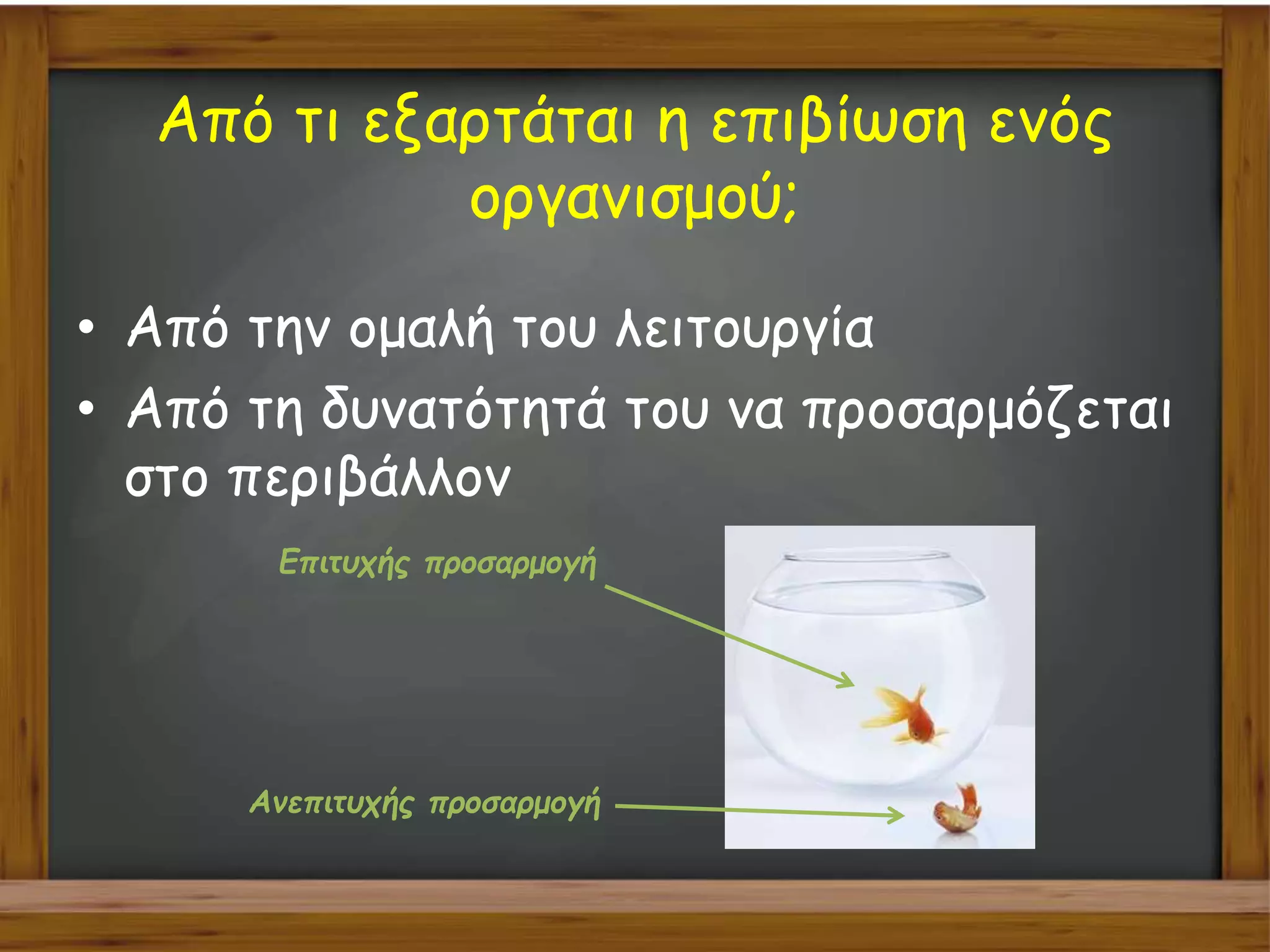 Ισορροπία στα βιολογικά συστήματα | PPTX