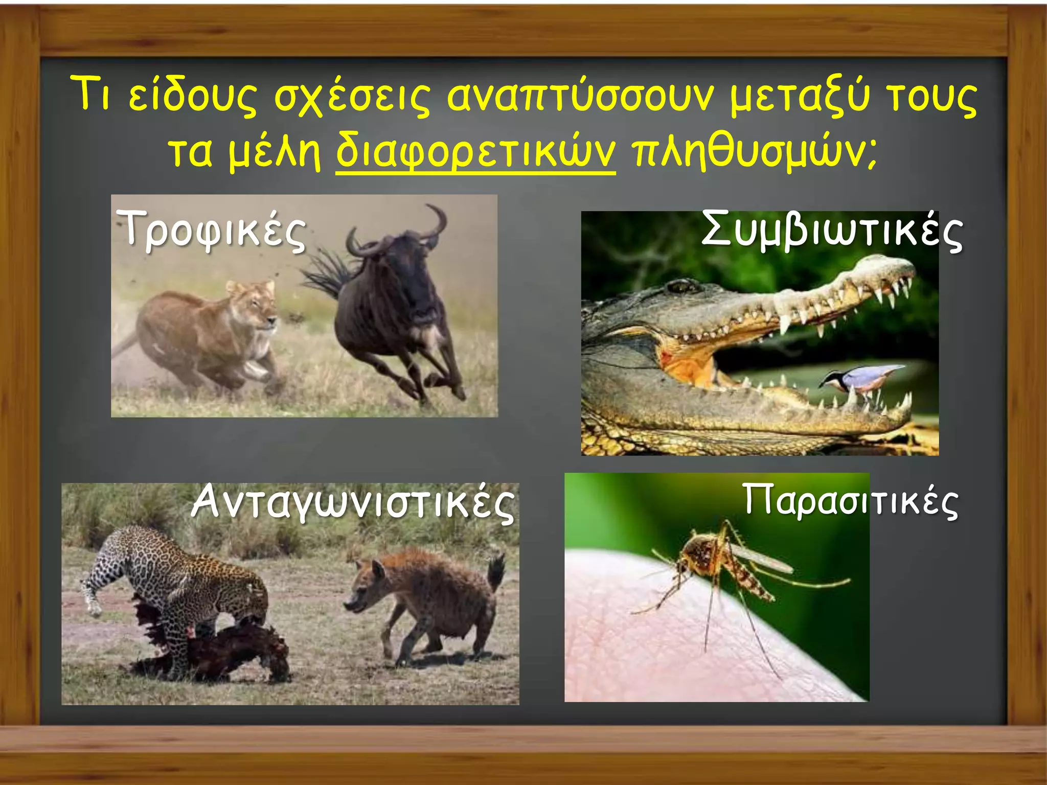 Ισορροπία στα βιολογικά συστήματα | PPTX
