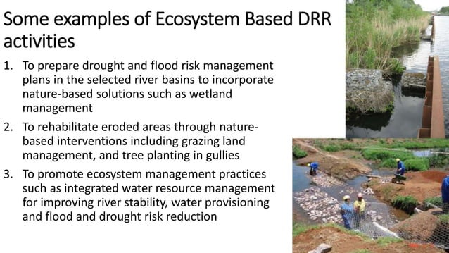 Ecosystem Based Disaster Risk Reduction | PPTX