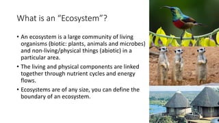 Ecosystem Based Disaster Risk Reduction | PPTX