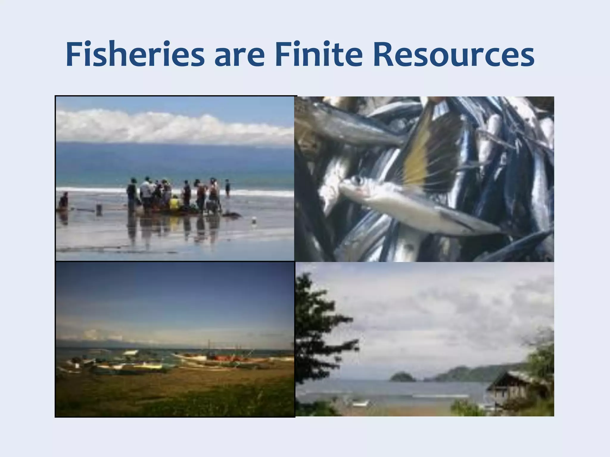 Ecosystem Based Planning | PPT