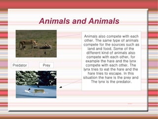Ecosystem Booklet | ODP | Biological Sciences | Science