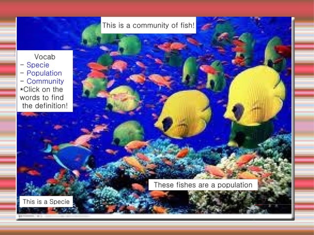 Ecosystem Booklet | ODP | Biological Sciences | Science