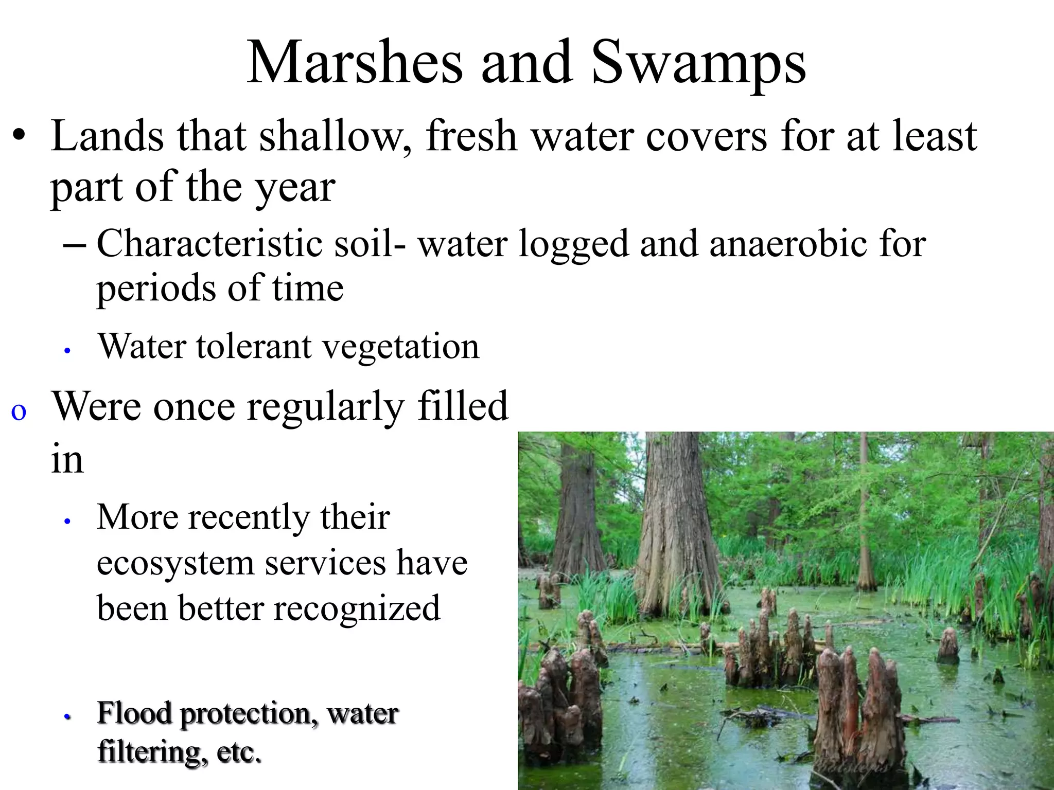 Ecosystem characetrs | PPTX