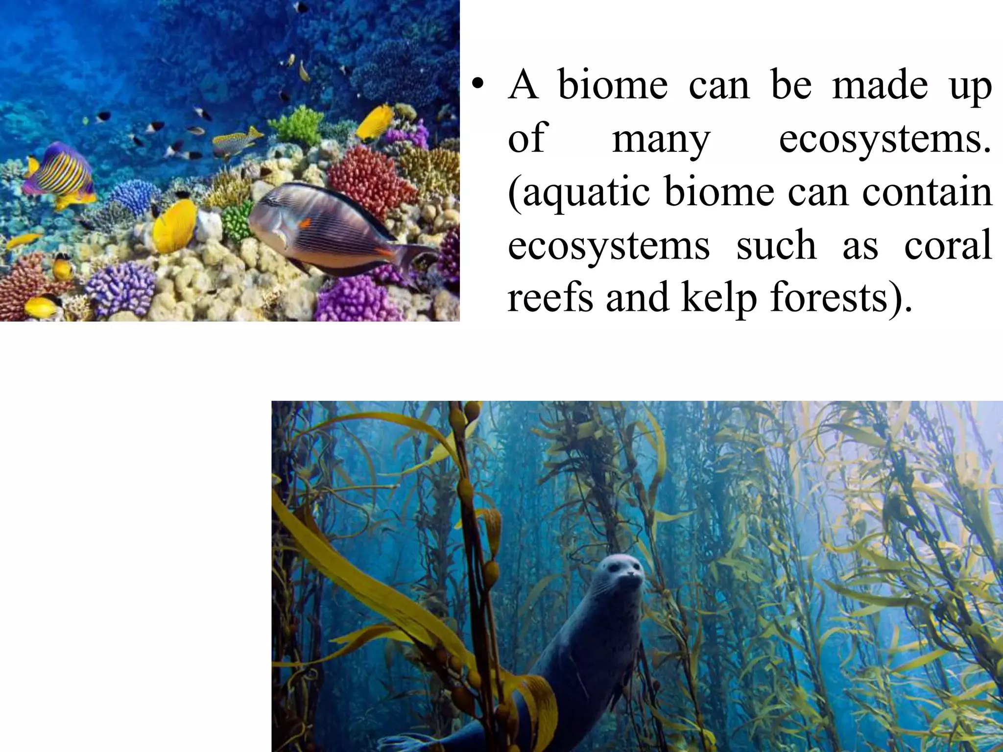 Ecosystem characetrs | PPTX