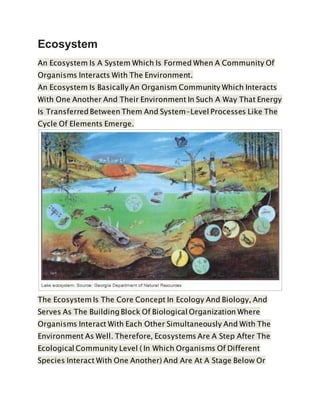 Eco system class 12th | DOCX