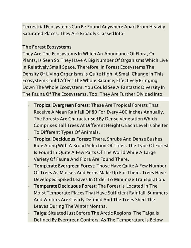 Eco system class 12th | DOCX | Science