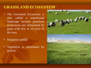 ECOSYSTEM Classification Structure & Functioning (1).pdf