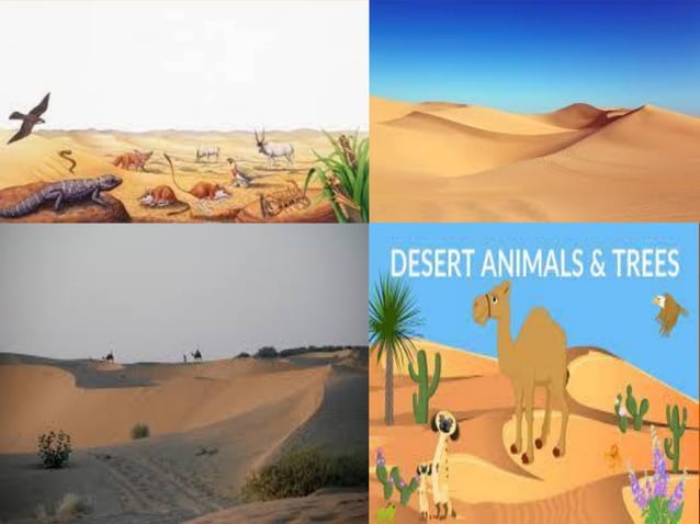 ECOSYSTEM Classification Structure & Functioning (1).pdf