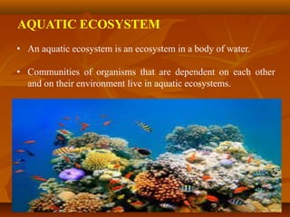ECOSYSTEM Classification Structure & Functioning (1).pdf