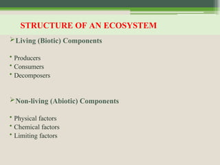 ecosystem concept AND FOOD CHAIN PPT.pptx