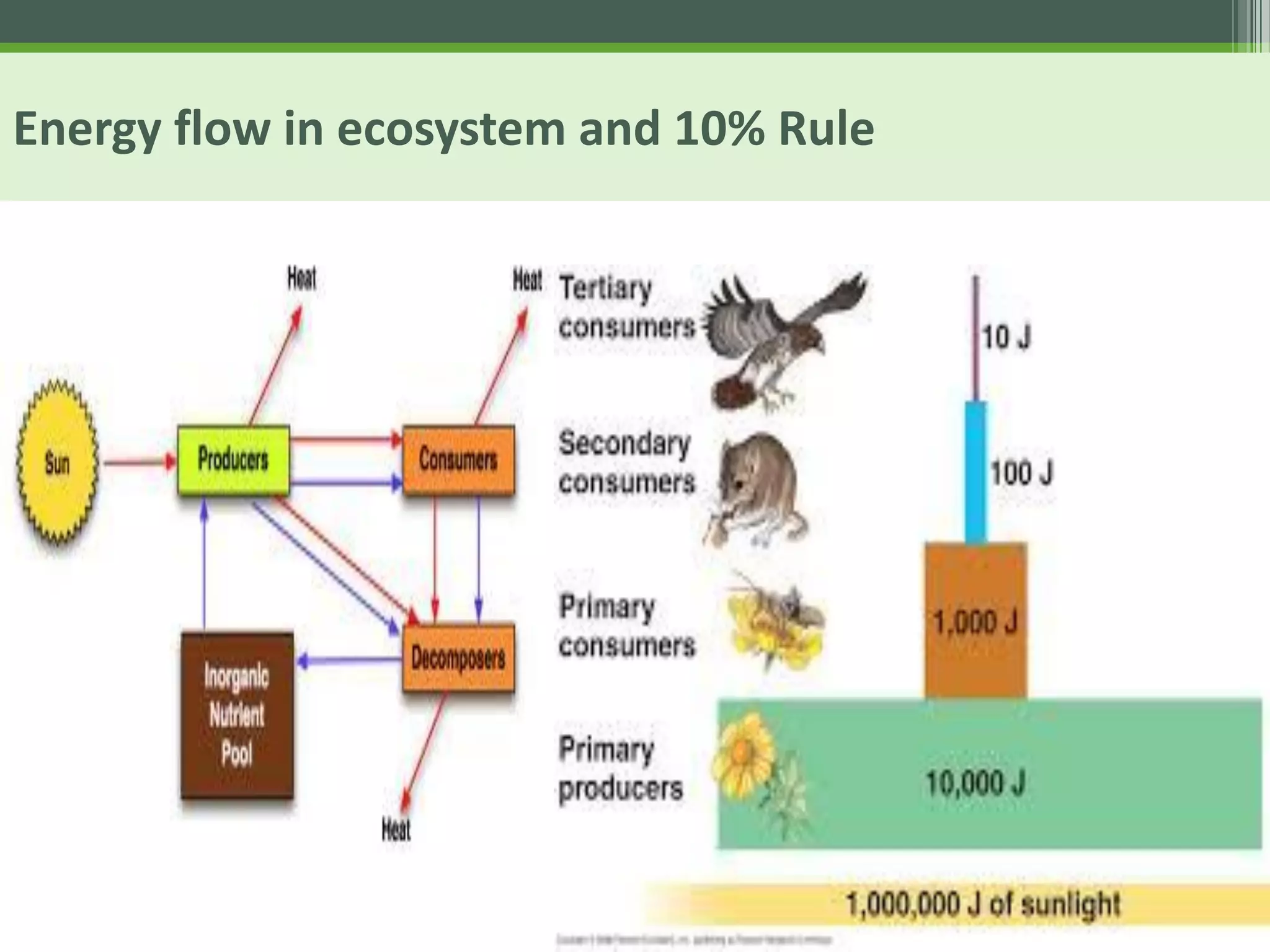 Ecosystem concept and types | PDF