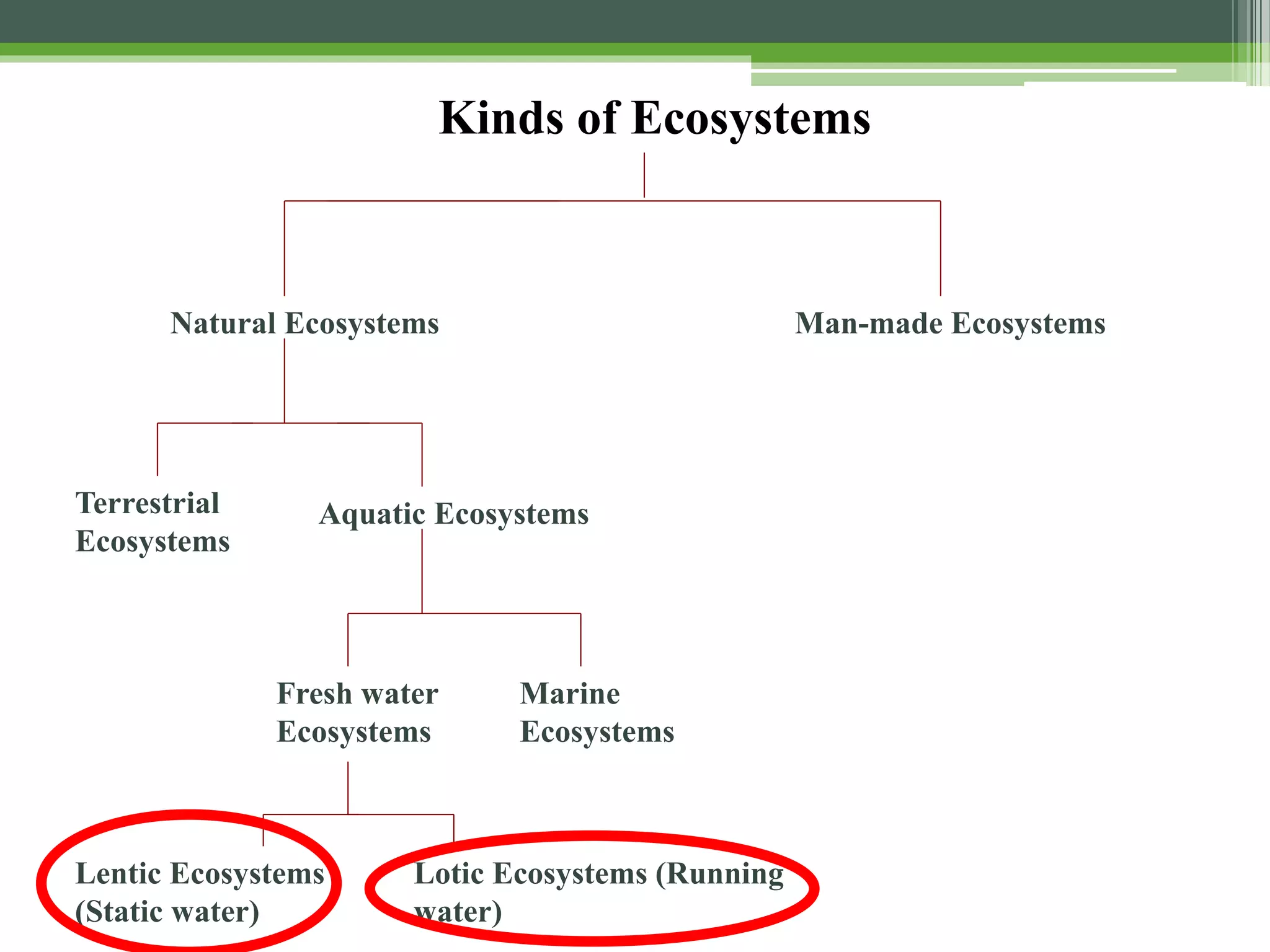 Ecosystem concept and types | PDF